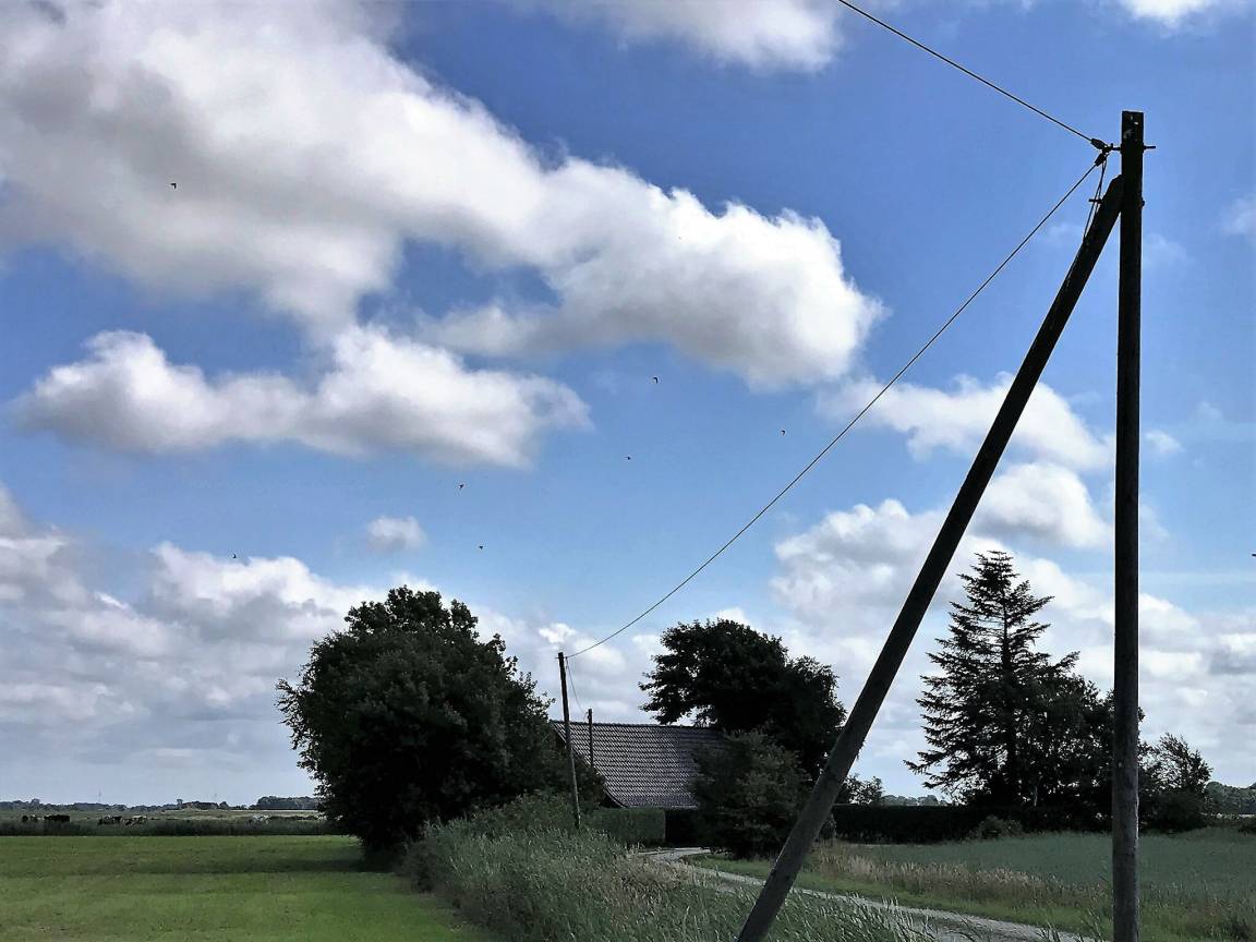 140 M² Huis ∙ 4 Slaapkamers ∙ 7 Gasten - Baltrum