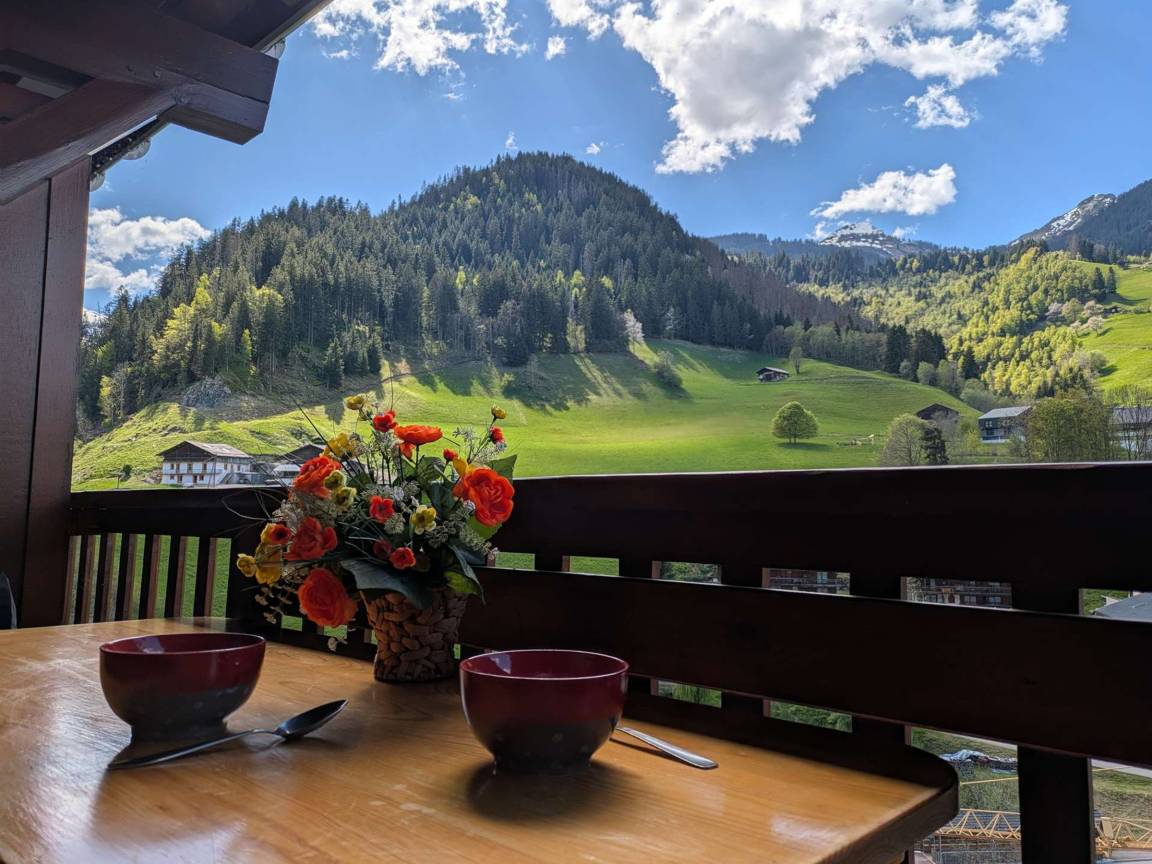40 M² Appartement ∙ 2 Slaapkamers ∙ 8 Gasten - Areches Beaufort