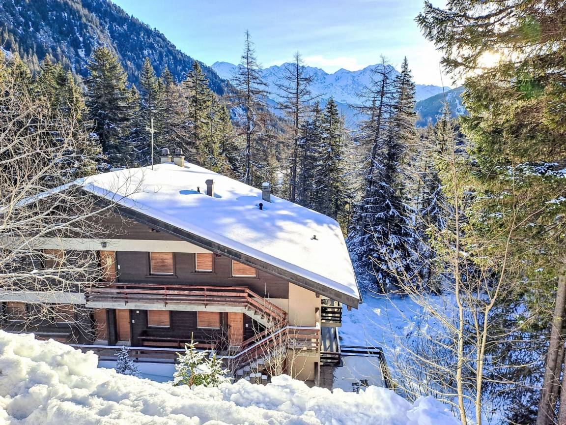 60 M² Apartment ∙ 1 Bedroom ∙ 4 Guests - Champex-Lac
