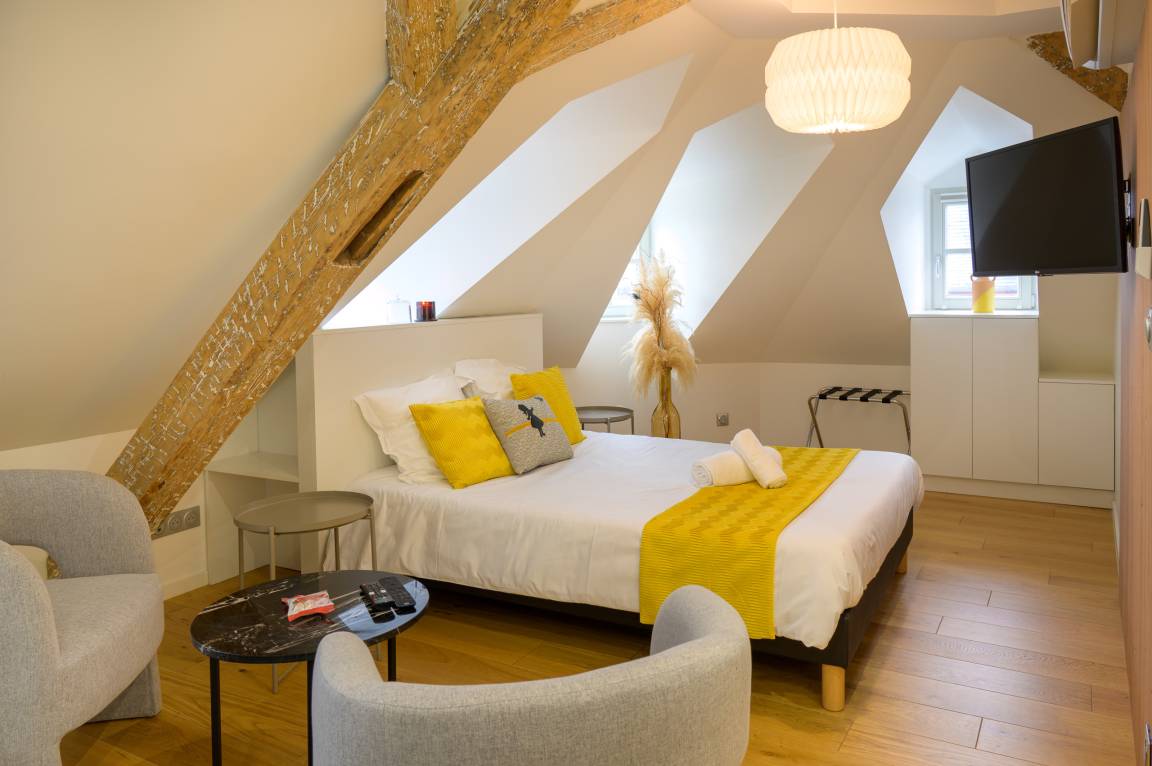 27 M² Studio Flat ∙ 1 Guest - Strasbourg
