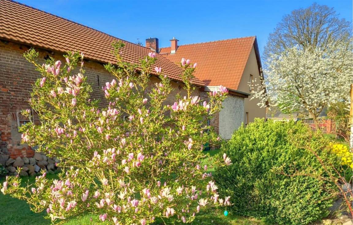 703 M² Apartment ∙ 1 Bedroom ∙ 2 Guests - Rheinsberg