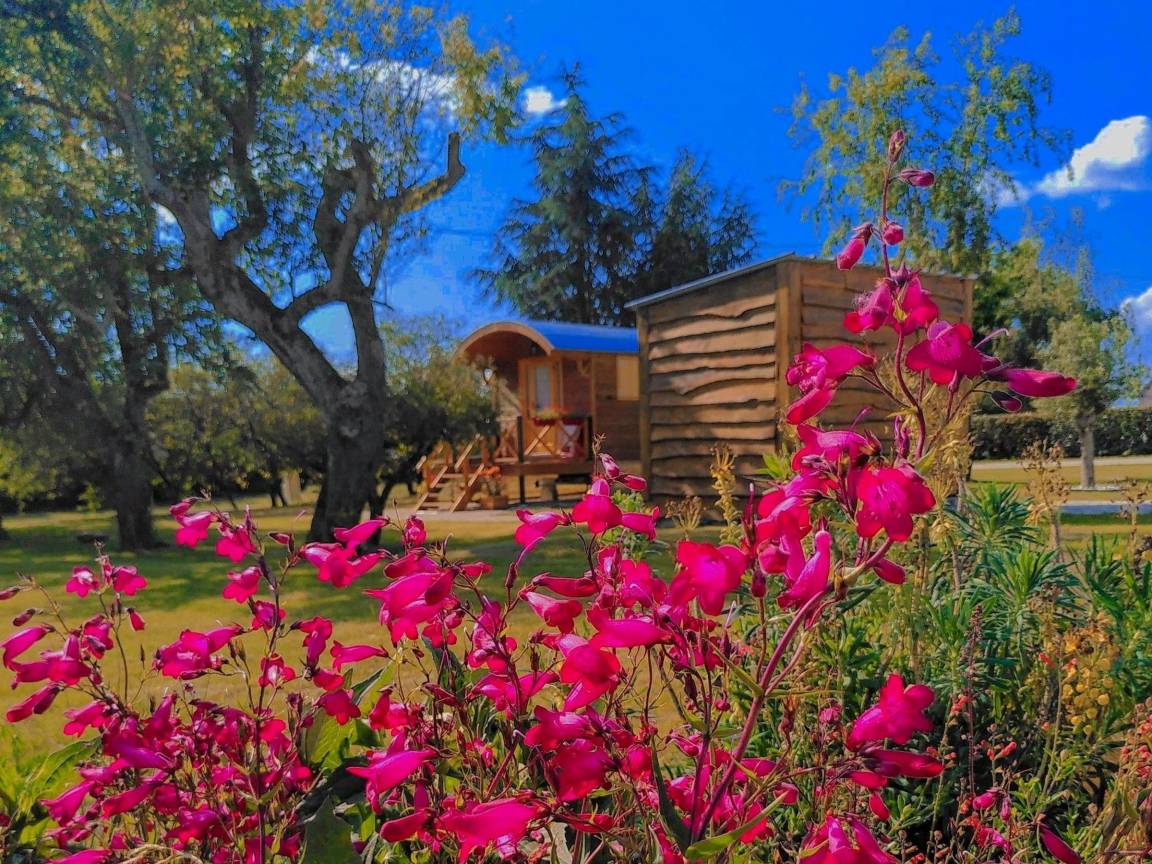 19 M² Cottage ∙ 1 Chambre ∙ 4 Personnes - Saint Aignan