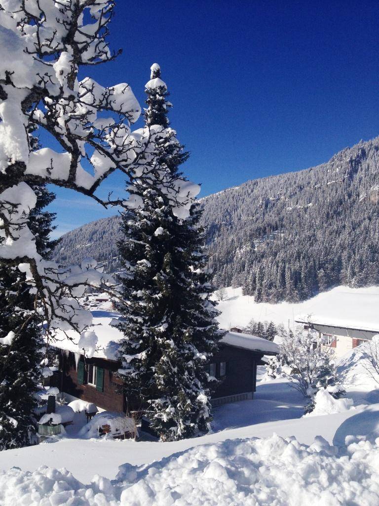 48 M² Apartment ∙ 2 Bedrooms ∙ 5 Guests - Beatenberg