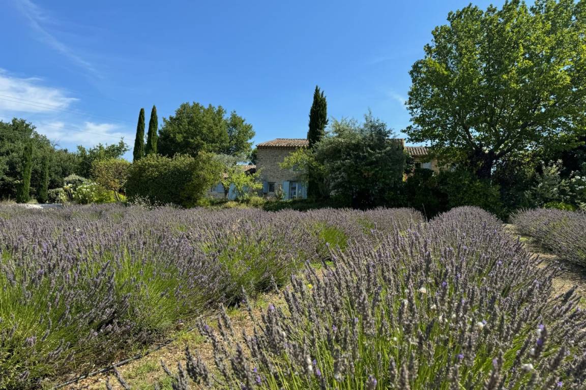 250 M² Casa ∙ 4 Habitaciones ∙ 8 Huéspedes - Gordes