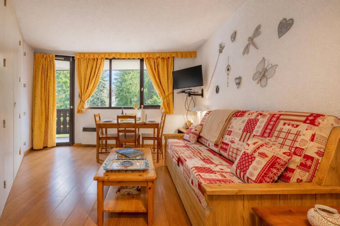 29 M² Appartement ∙ 1 Chambre ∙ 4 Personnes - Lac du Brévent