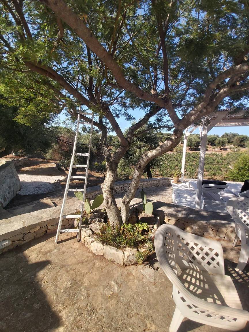 50 M² Apartment ∙ 1 Bedroom ∙ 4 Guests - Ostuni