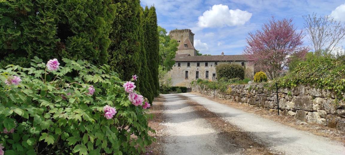 52 M² House ∙ 1 Bedroom ∙ 7 Guests - Saint-Émilion