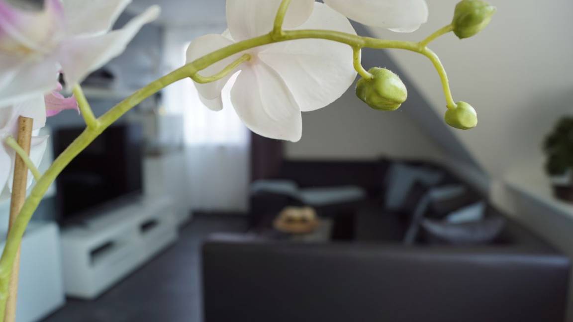 54 M² Apartment ∙ 1 Bedroom ∙ 2 Guests - Osnabrück