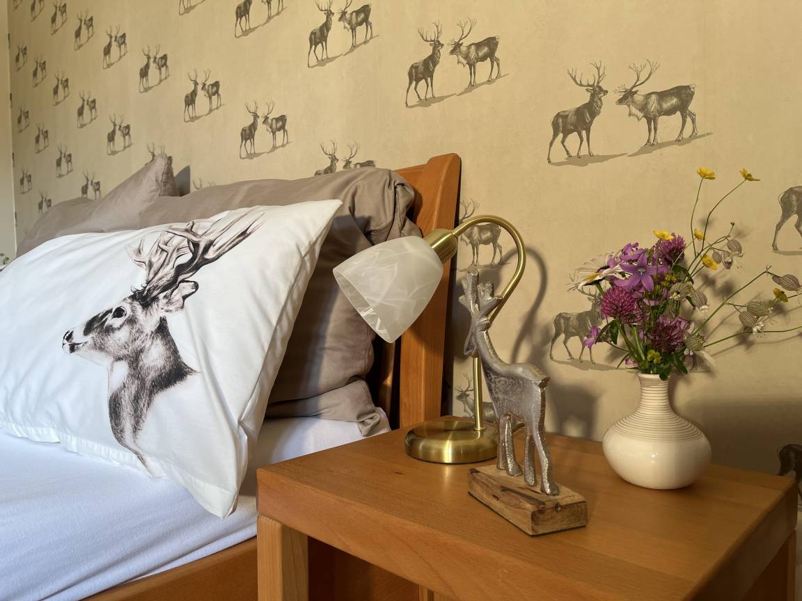 24 M² Hotel ∙ 1 Bedroom ∙ 2 Guests - Mallnitz