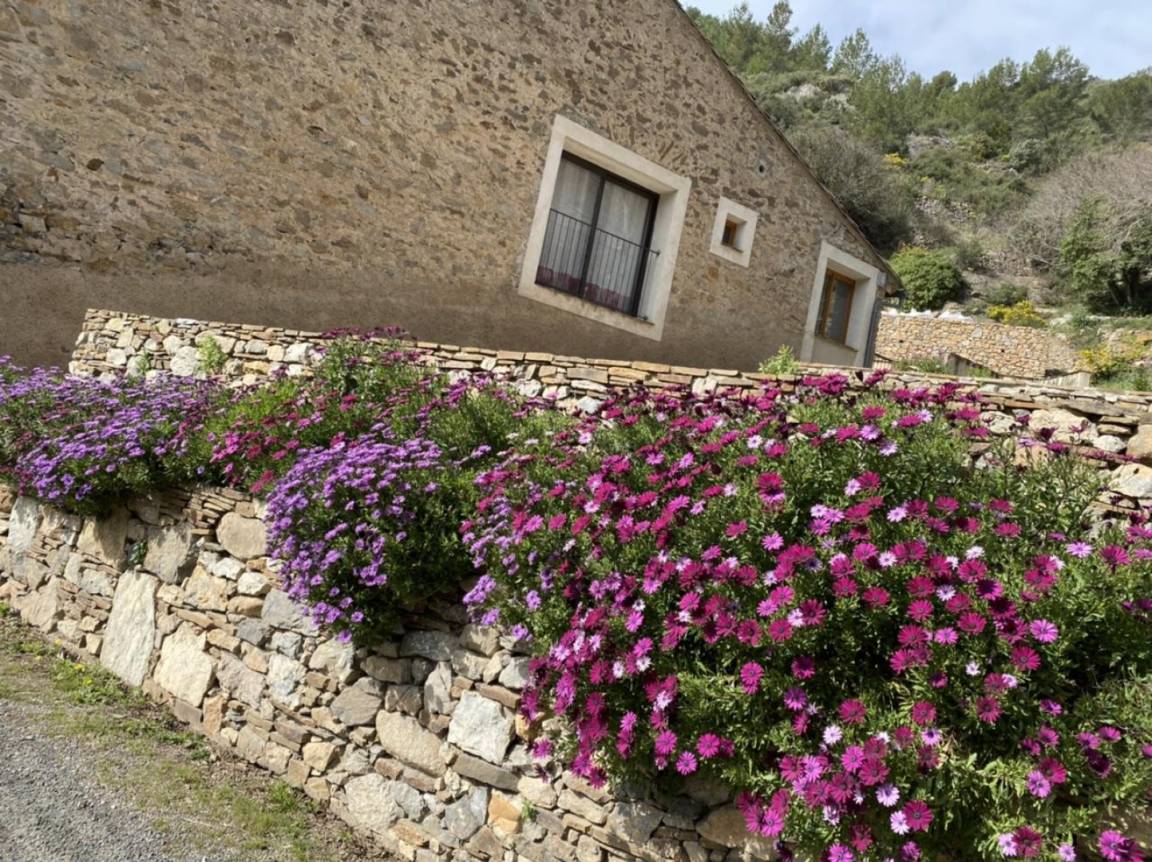 110 M² Gîte ∙ 3 Chambres ∙ 6 Personnes - Hérault