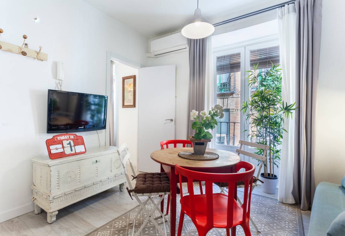 28 M² Apartment ∙ 1 Bedroom ∙ 3 Guests - Chueca