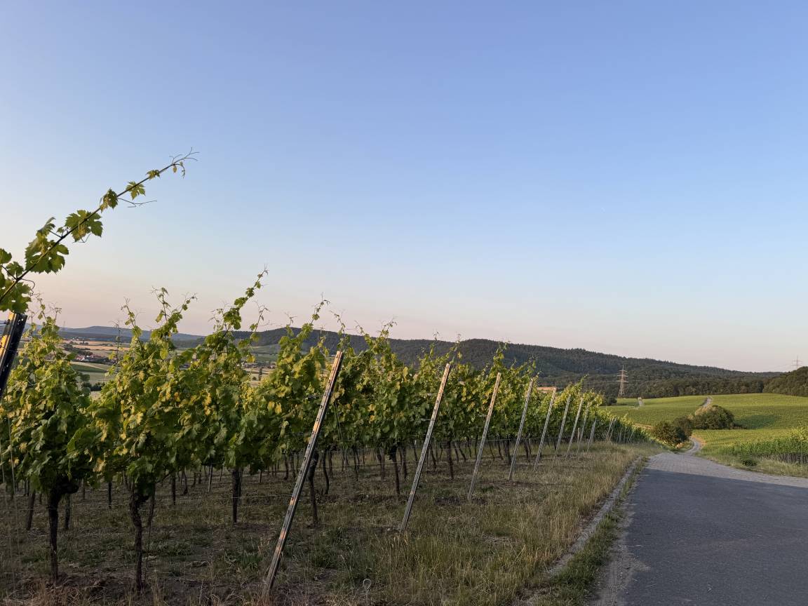 Apartamento ∙ 3 Habitaciones ∙ 7 Huéspedes - Volkach