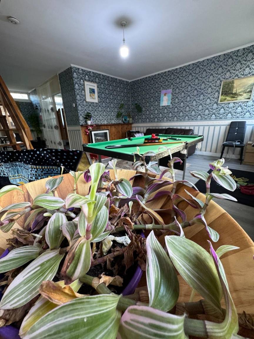 40 M² House ∙ 3 Bedrooms ∙ 9 Guests - Croydon, UK