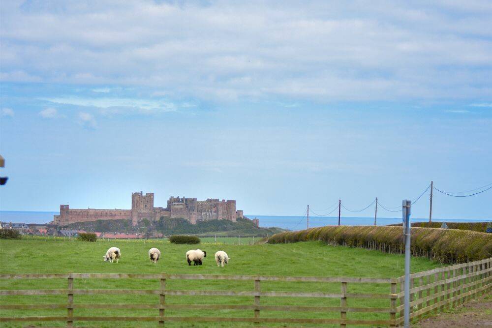 Cottage ∙ 2 Bedrooms ∙ 4 Guests - Bamburgh