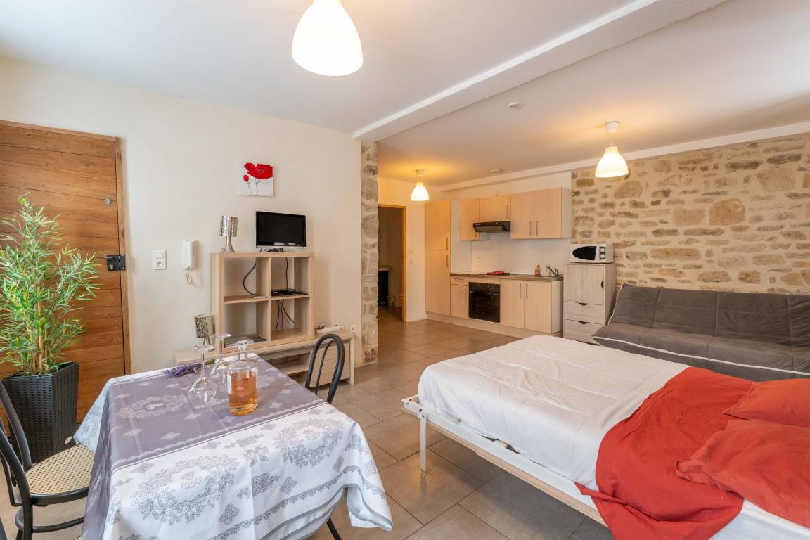 32 M² Studio Flat ∙ 1 Bedroom ∙ 3 Guests - Malaucène