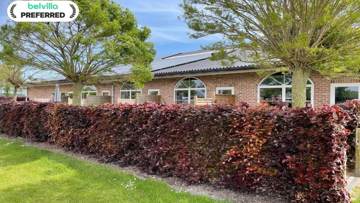 55 M² Appartement ∙ 1 Slaapkamer ∙ 5 Gasten - Breskens