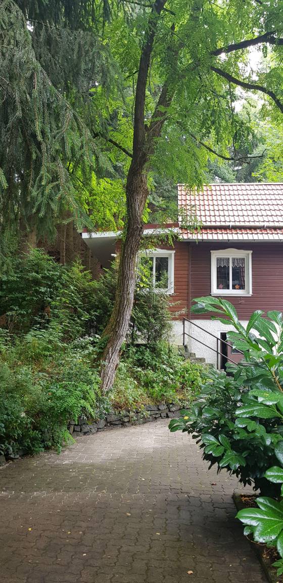 45 M² Ferienwohnung ∙ 2 Schlafzimmer ∙ 4 Gäste - Wildemann