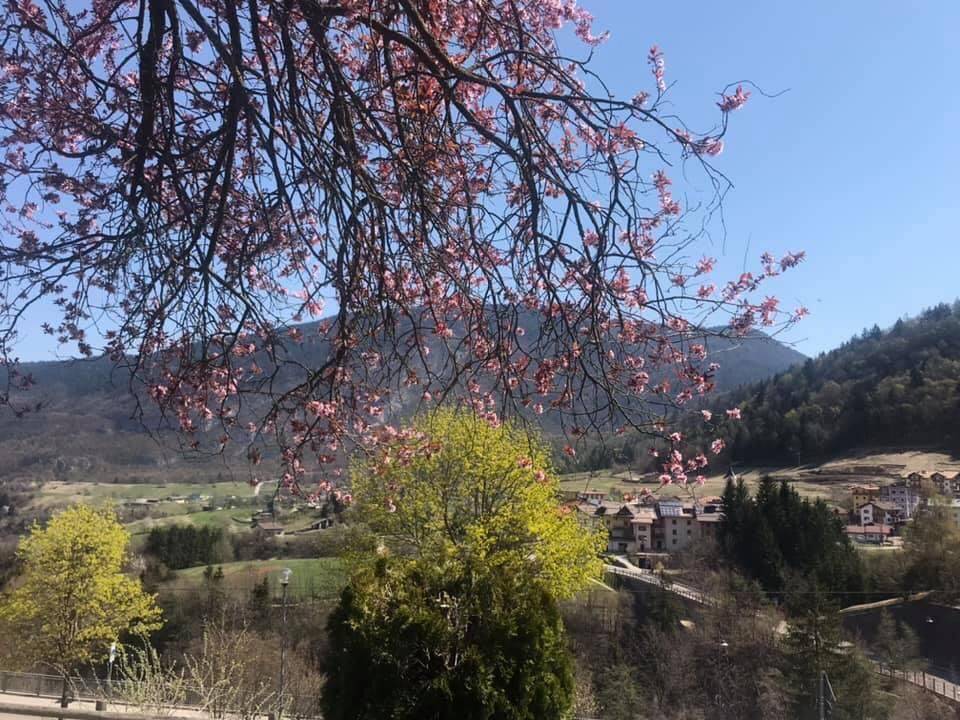 45 M² Apartment ∙ 1 Bedroom ∙ 4 Guests - Andalo