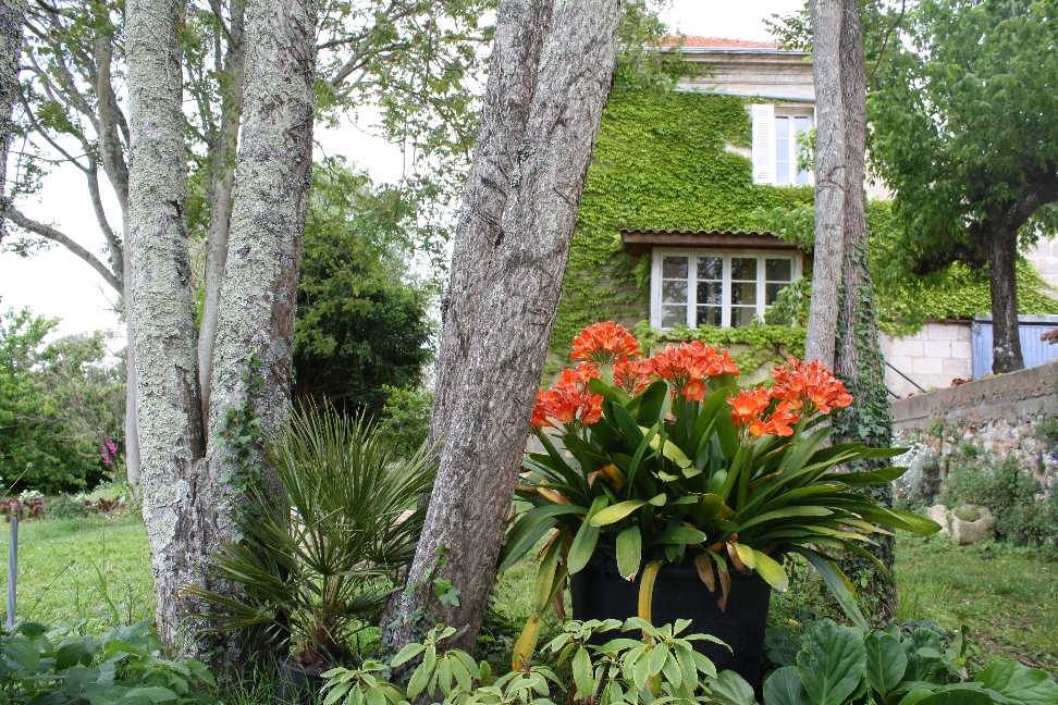 120 M² Gîte ∙ 3 Chambres ∙ 6 Personnes - Blaye