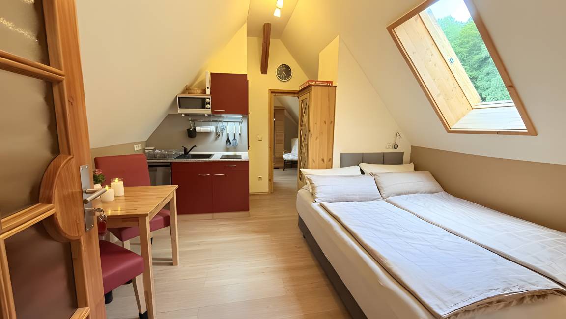 40 M² Studio ∙ 2 Gäste - Enzklösterle