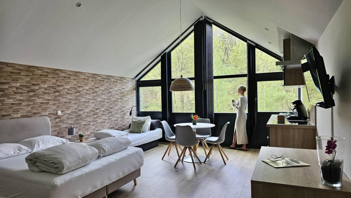 27 M² Apartment ∙ 1 Bedroom ∙ 3 Guests - Maasmechelen