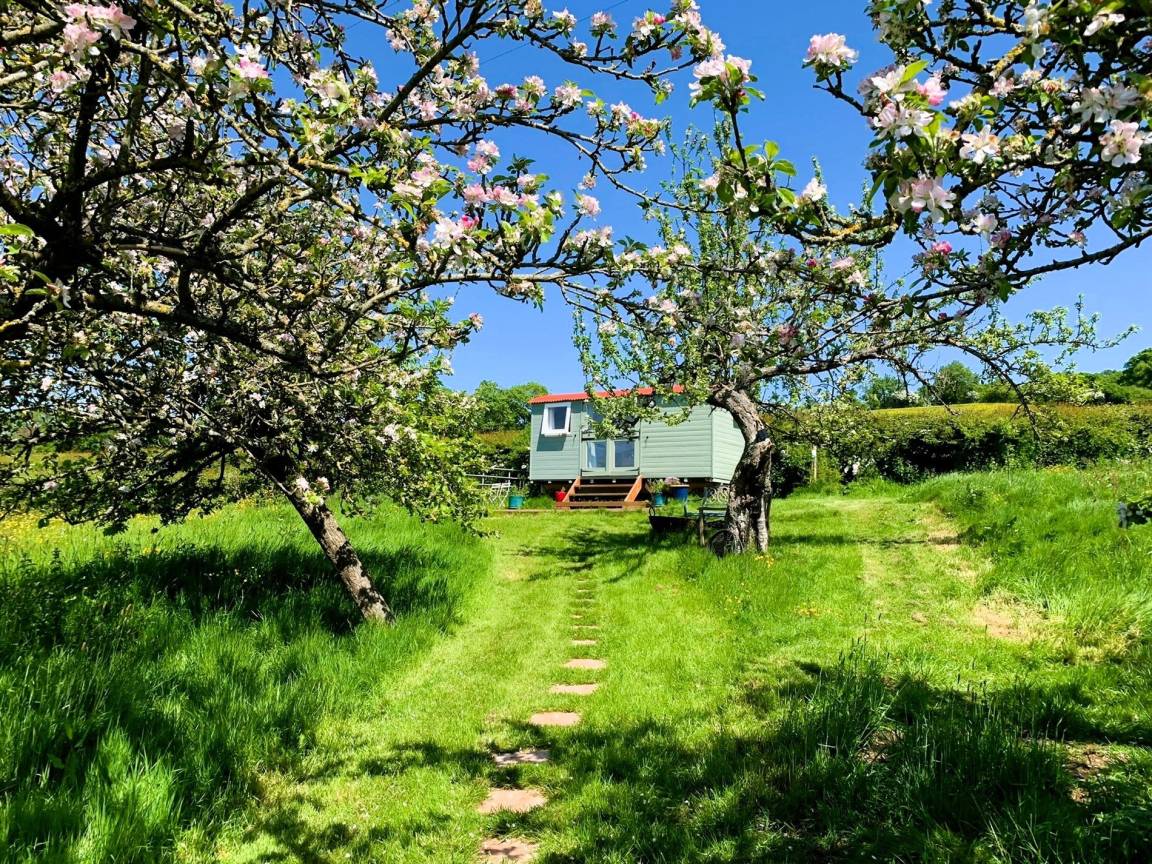 Cottage ∙ 1 Bedroom ∙ 2 Guests - Forest of Dean