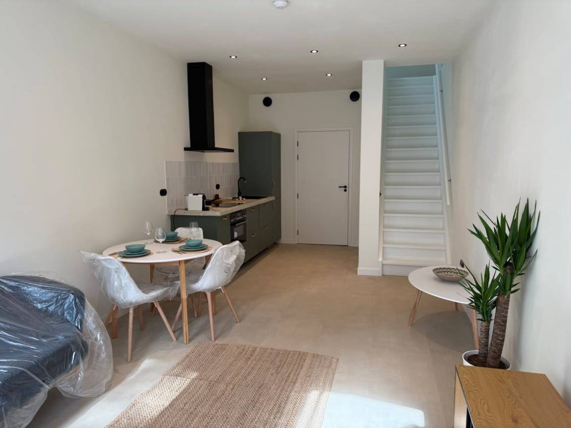 50 M² Apartamento ∙ 1 Habitación ∙ 2 Huéspedes - Delft