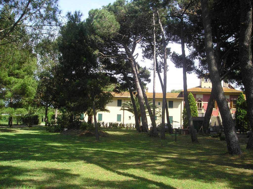 45 M² Apartamento ∙ 1 Habitación ∙ 5 Huéspedes - Campiglia Marittima