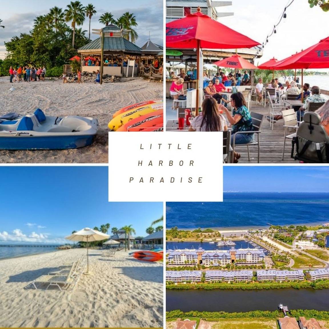 Apartamento ∙ 1 Habitación ∙ 4 Huéspedes - Apollo Beach, FL
