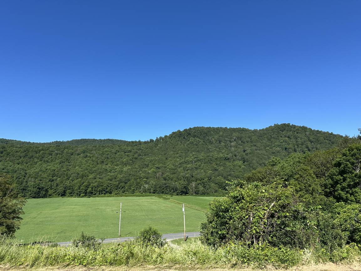 House ∙ 2 Bedrooms ∙ 4 Guests - Braintree, VT