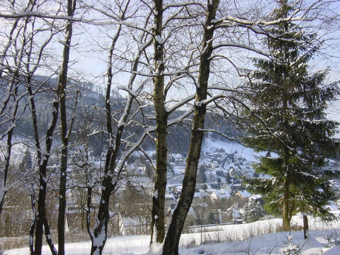 150 M² Apartment ∙ 4 Bedrooms ∙ 10 Guests - Winterberg
