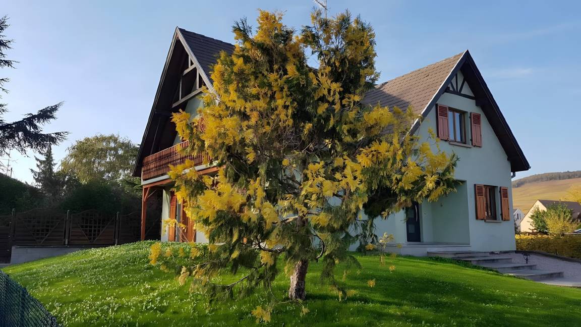 160 M² Cottage ∙ 4 Chambres ∙ 8 Personnes - Kaysersberg