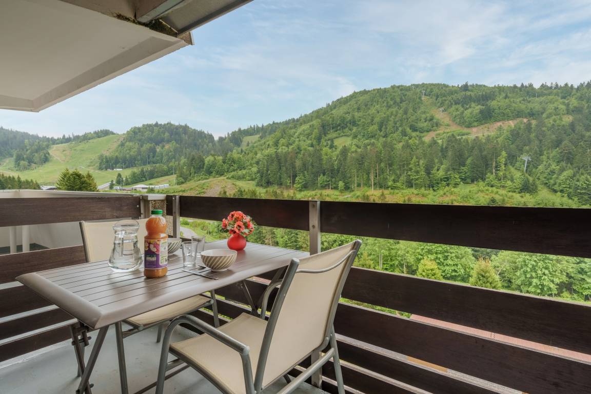 26 M² Appartement ∙ 4 Personnes - La Bresse