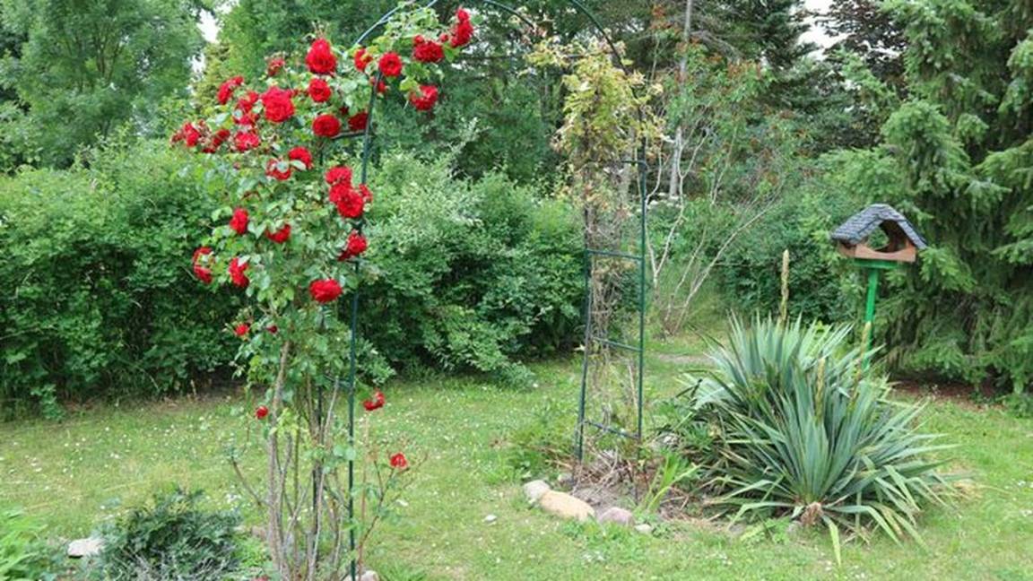 House ∙ 3 Bedrooms ∙ 8 Guests - Forst