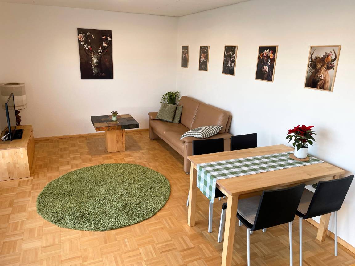 50 M² Appartamento Vacanza ∙ 1 Camera Da Letto ∙ 2 Ospiti - Weil am Rhein