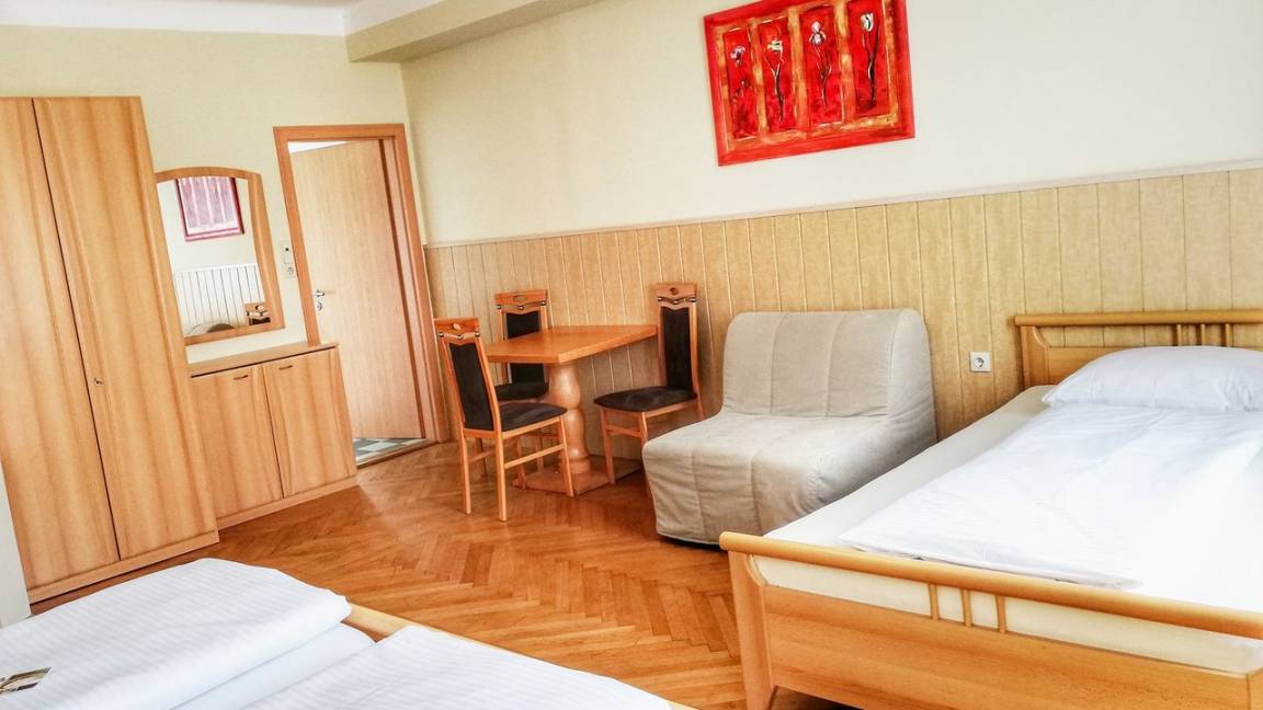 Hotelli ∙ 1 Makuuhuone ∙ 3 Vierasta - Mariazell