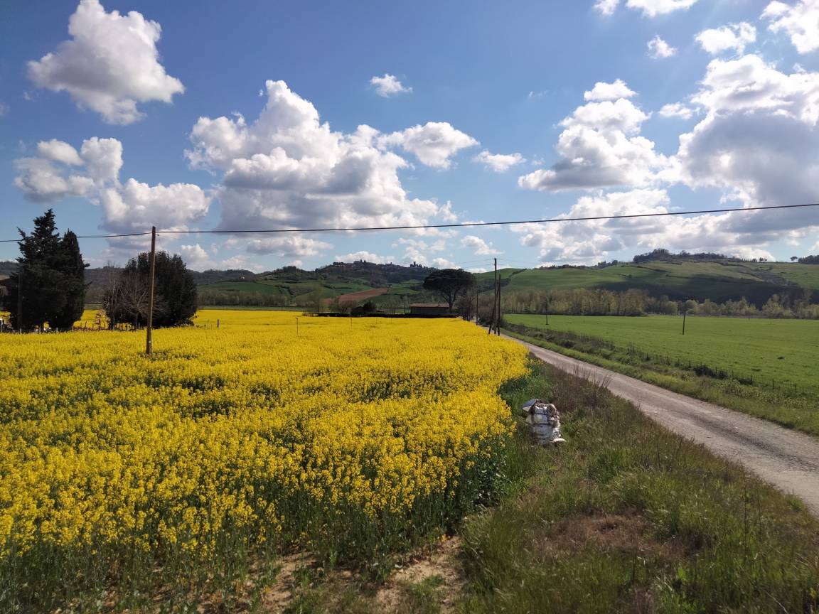 60 M² Agriturismo ∙ 2 Camere Da Letto ∙ 4 Ospiti - Provincia di Viterbo