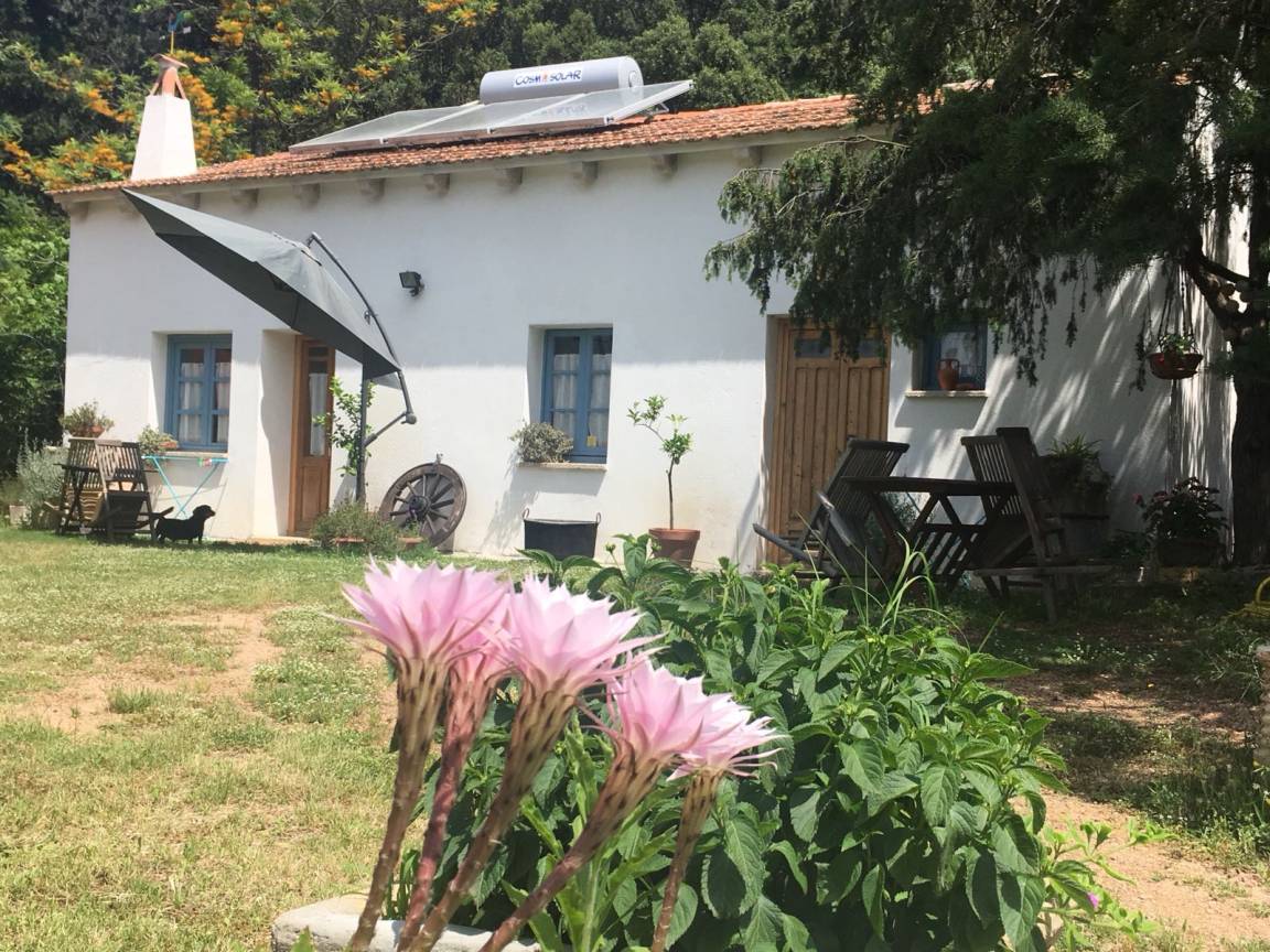50 M² Agroturystyka ∙ 1 Sypialnia ∙ 4 Gości - Sardynia