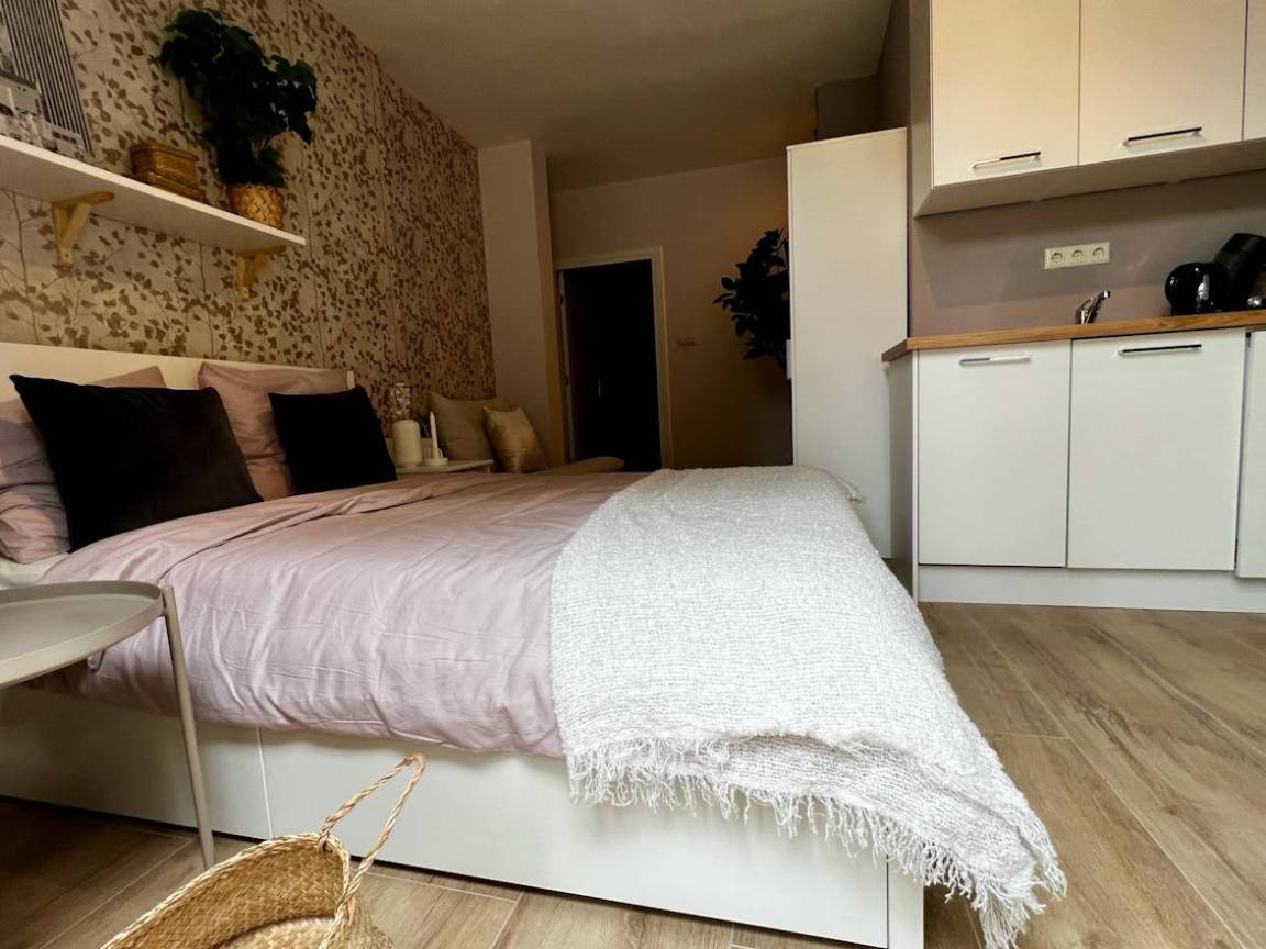 22 M² Apartment ∙ 1 Guest - Rotterdam