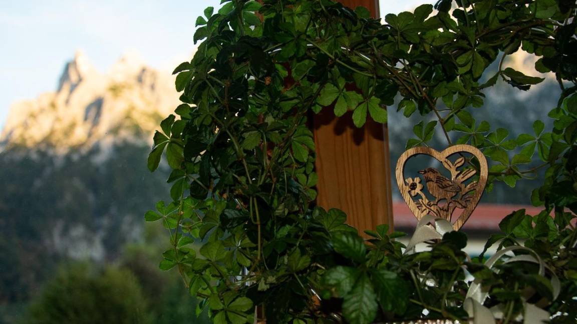 55 M² Appartamento ∙ 1 Camera Da Letto ∙ 2 Ospiti - Mittenwald