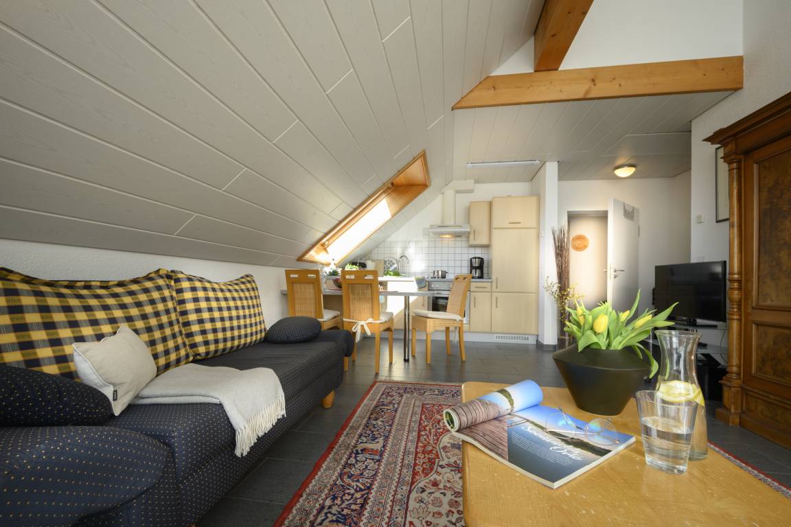 47 M² Apartment ∙ 1 Bedroom ∙ 4 Guests - Singen