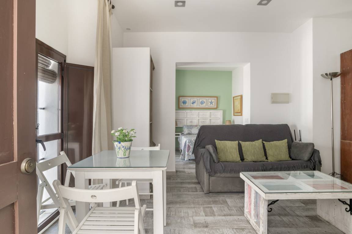 50 M² Apartamento ∙ 1 Habitación ∙ 4 Huéspedes - Vejer de la Frontera