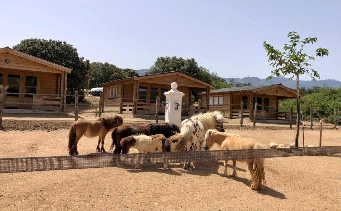 20 M² Chambre D'hôtes ∙ 1 Chambre ∙ 2 Personnes - L'Île-Rousse