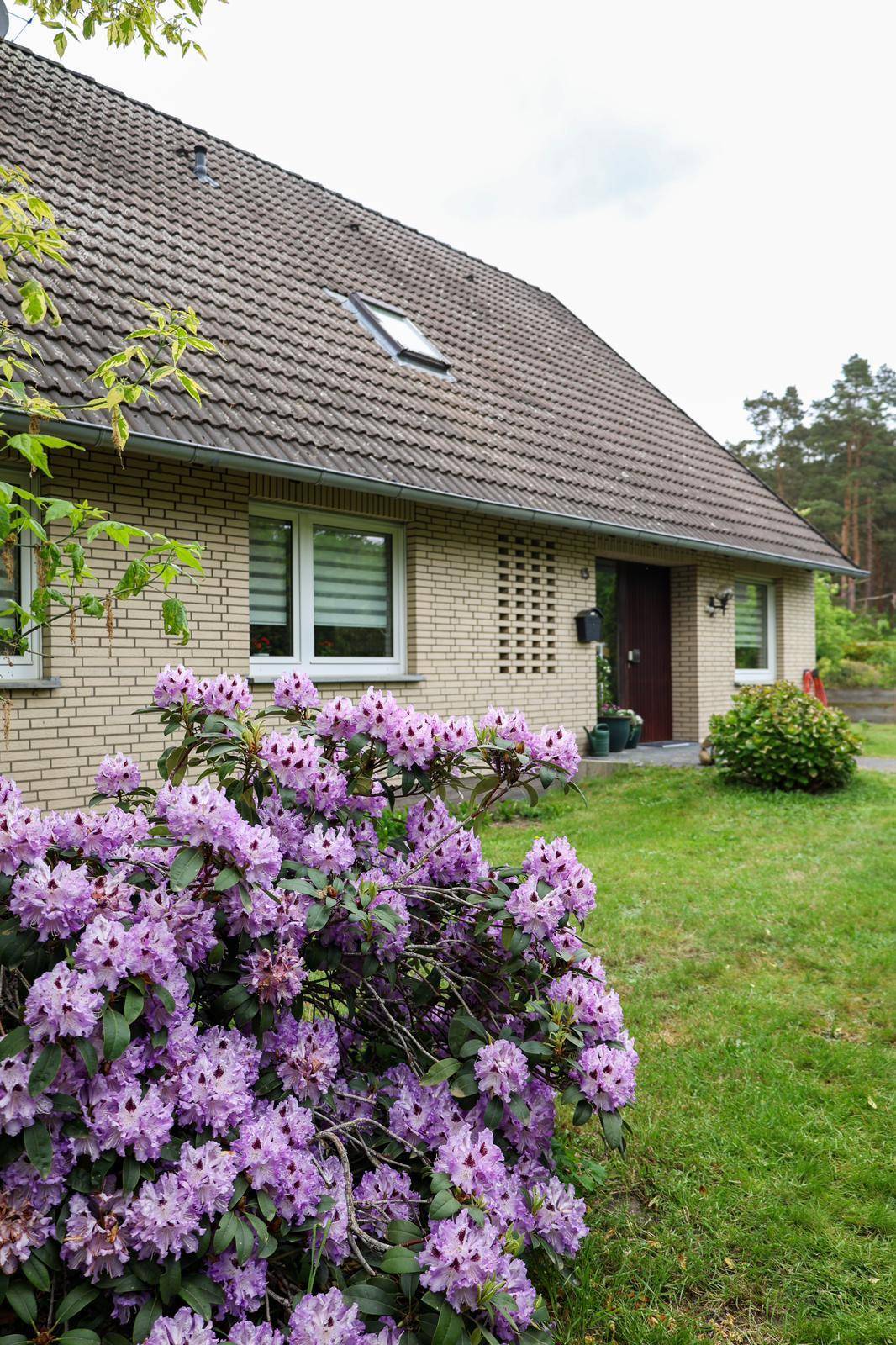 120 M² Ferienwohnung ∙ 2 Schlafzimmer ∙ 4 Gäste - Hodenhagen