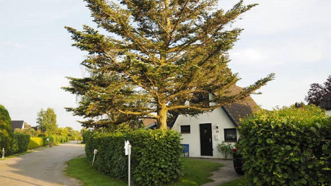 70 M² Ferienhaus ∙ 3 Schlafzimmer ∙ 7 Gäste - Butjadingen
