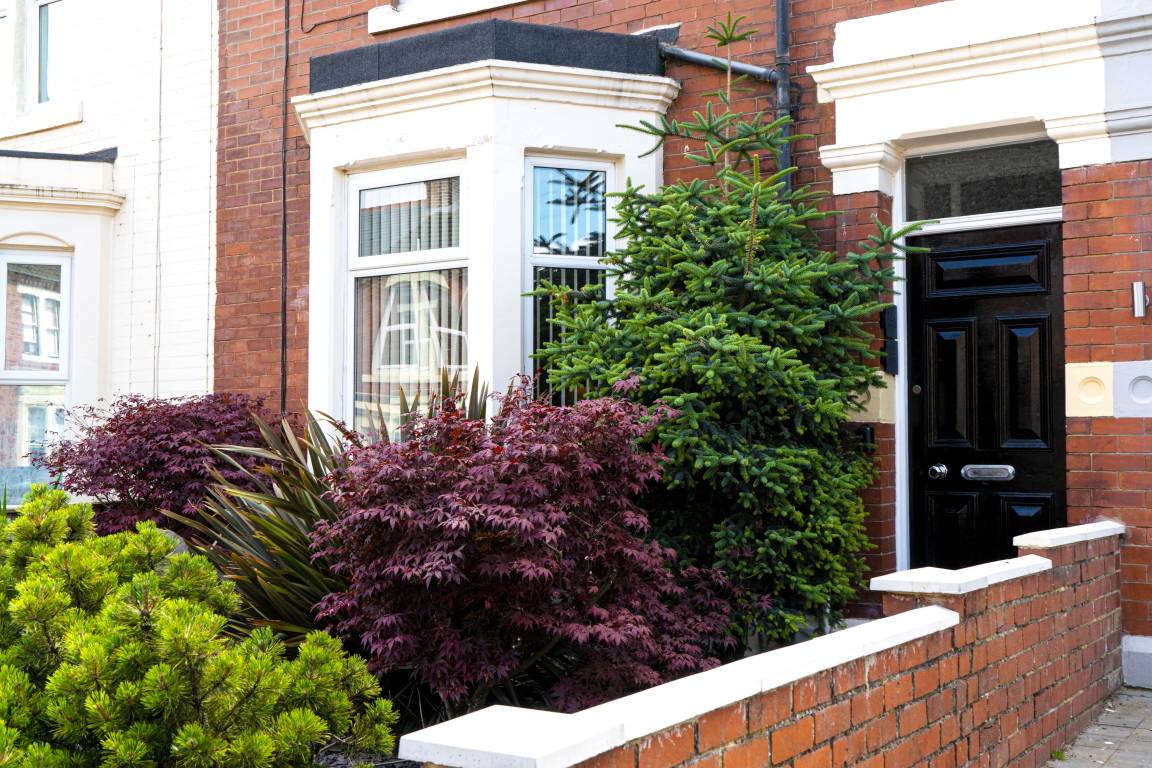 Cottage ∙ 1 Bedroom ∙ 4 Guests - Tynemouth