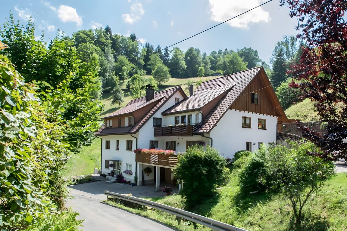 56 M² Ferienwohnung ∙ 1 Schlafzimmer ∙ 3 Gäste - Bad Peterstal-Griesbach