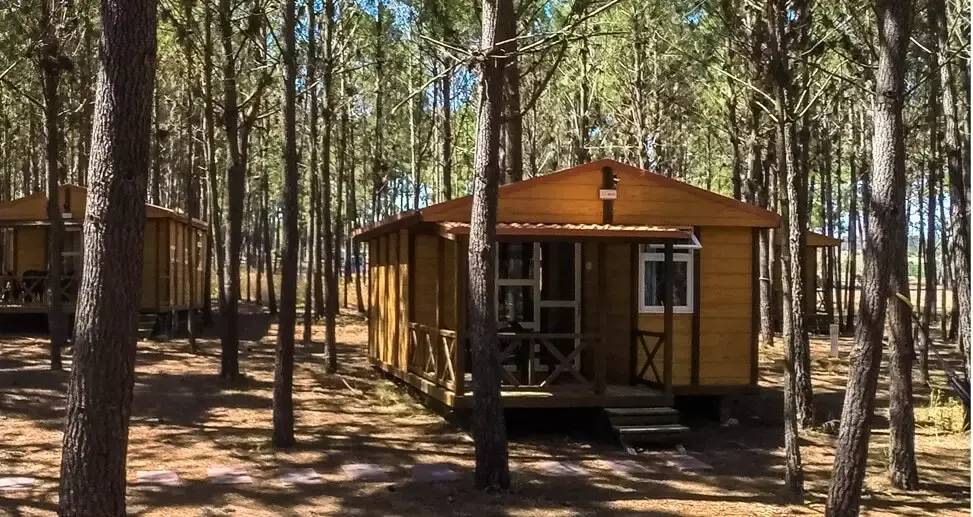 Mobilheim ∙ 1 Schlafzimmer ∙ 2 Gäste - Portugal