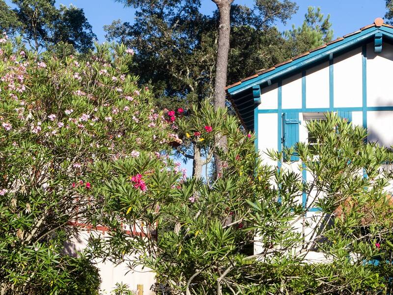 51 M² Chalet ∙ 2 Bedrooms ∙ 8 Guests - Messanges