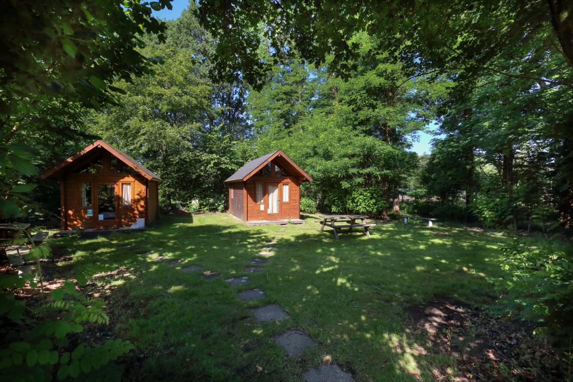 Camping ∙ 1 Bedroom ∙ 4 Guests - Hoogstraten